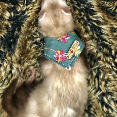 Sea Breeze Ferret Bandana Ferret Scarf Ferret Accessories Clothes for ...