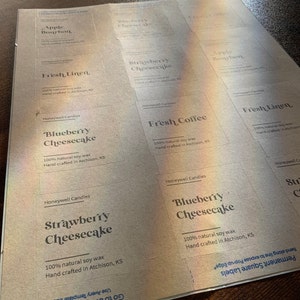 Wild Mango Font Serif Font Modern Font Boho Font Branding - Etsy