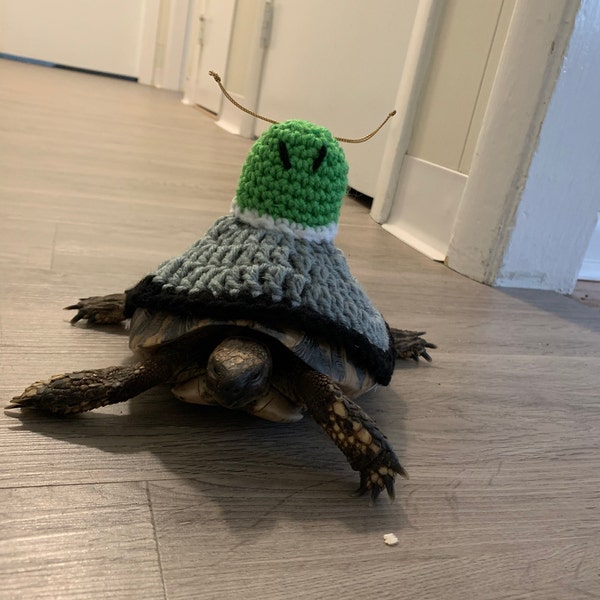 Alien in Spaceship Costume for Turtle/tortoises - Etsy