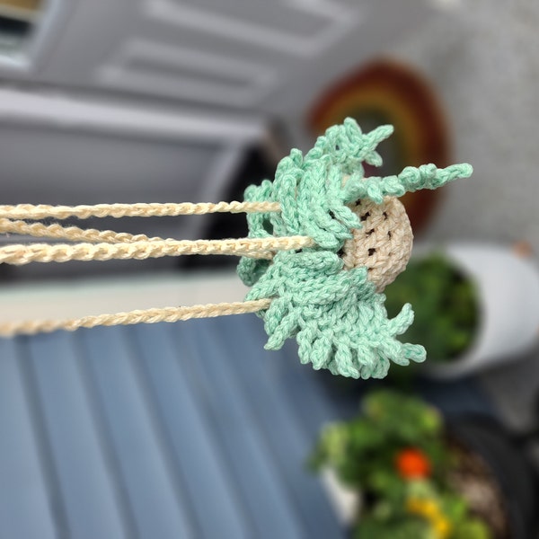 Car Fern Crochet PATTERN by Pamelambie Car Plant - Etsy
