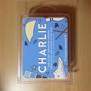 Hopper Fandom Inspired 100% Soy Wax Candle - Etsy