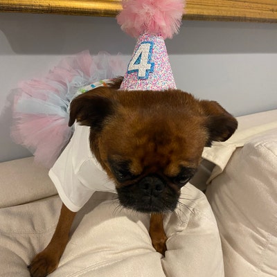 Ice Cream Crown. Birthday Crown. Princess Crown, First Birthday, One ...