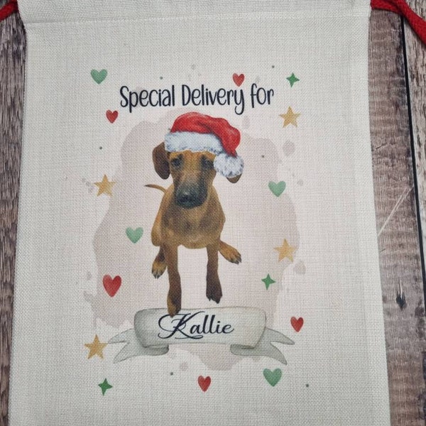 Winter Animals Clipart, Commercial Use, Winter Png, Clip Art, Cute ...