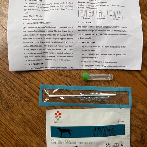 Canine Brucellosis Rapid Home Test Kit (BCL) - Etsy