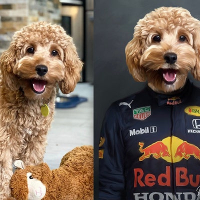 Red Ball Formula Racing Car F1 Driver Team Pet Portrait - Etsy