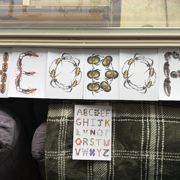 Vegetable Alphabet Poster Unframed Print for Veggie Themed Nursery or ...