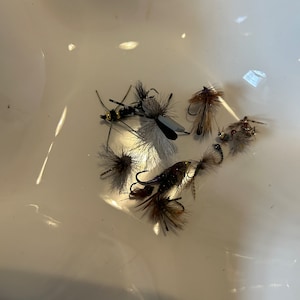 Hydropsyche Caddis Larva Trout Flies Colorado Fly Fishing Flies Caddis ...