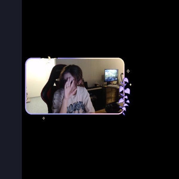 Most Customizable Animated Gradient Goals Stream Widget Cute Twitch ...