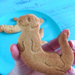 Sea Otter Cookie Cutter Otterly Cute Happy Otters Theme River Biscuit ...