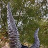 Curved, Small Bull Horns, Handmade, Satyr Horns, Wearable Costume Horns ...