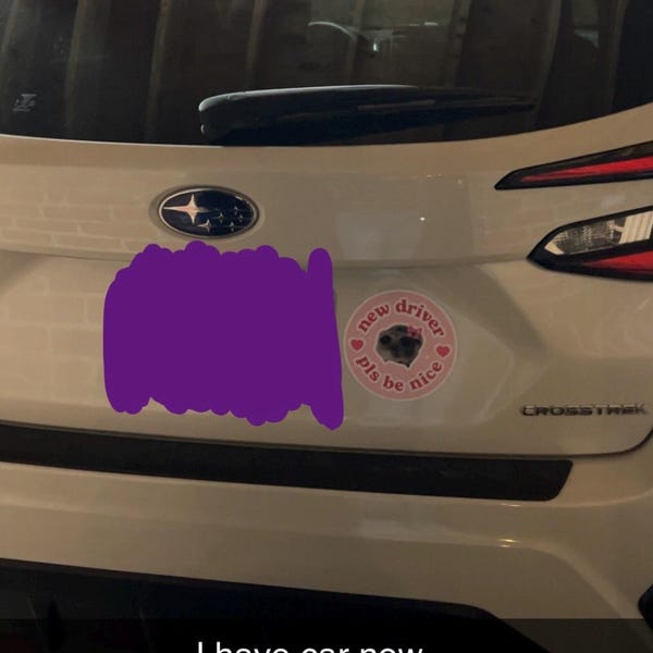 New Driver Pls Be Nice | Sad Hamster Car Bumper Sticker | Crying Funny ...