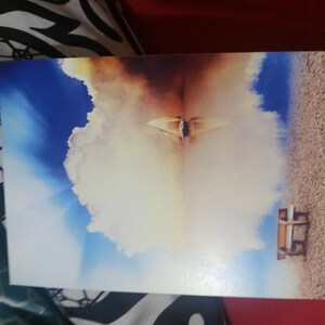 Fun USPS Lion Poem Postcard Happy Mail Poetry Postcard Lion - Etsy