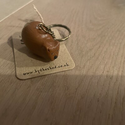 By the Shed Orange Fruit Keyring Vegetable Fruit Sunshine, OJ, Orange ...