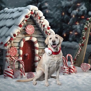 32 Super Video Game Inspired CG Digital Backdrops, Gamer, Super Mario ...