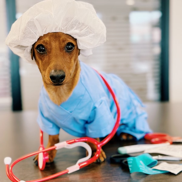 Dog Boy Nurse Scrubs Costume, Boy Dog Nurse Uniform, Puppy Boy Nurse ...