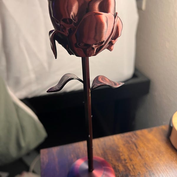 Cup, Shot, & Marker Holder - Etsy