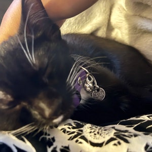 Brass Dog Tag, Personalized Brass Pet ID Tag, Custom Cat Tag, Unique ...