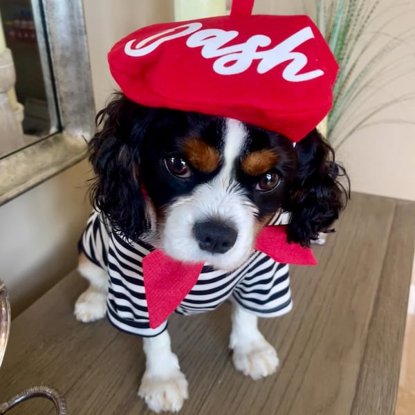 French Look Outfit Set - Pet Beret Hat, Red Scarf, Black White Striped ...