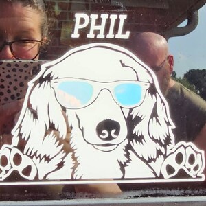 Danzig crystar Band Logo Vinyl Decal - Etsy