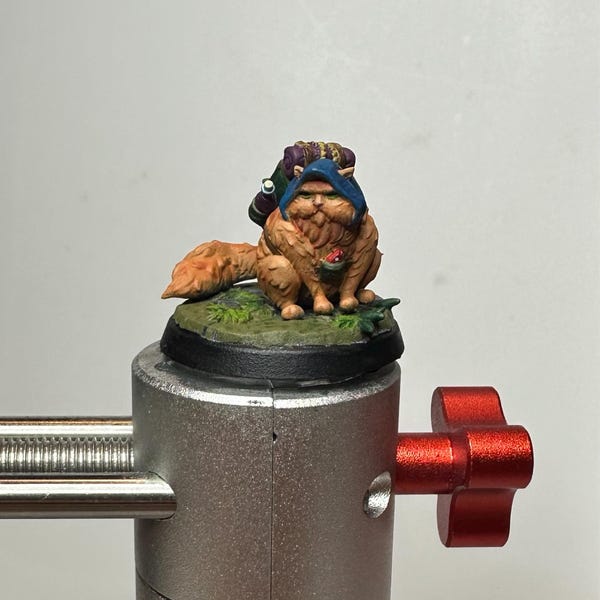 Mage Cat Companion Miniature Persian Cat Animal Dungeons and Dragons ...