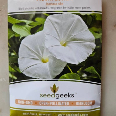 Northern Blazing Star Flower Seeds Heirloom Seeds, Native Seeds ...