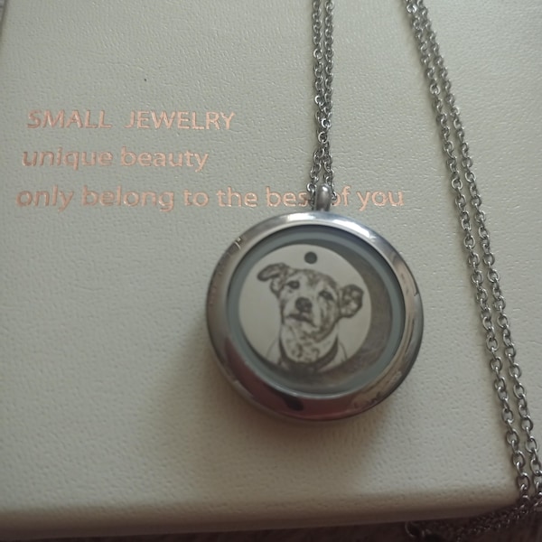 Custom Pet Fur Necklace • Pet Fur Locket Necklace • Dog Hair Memorial ...