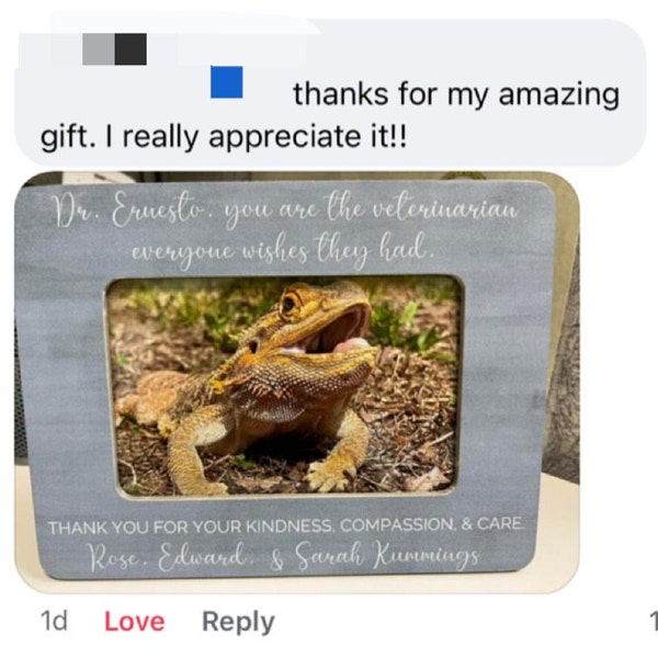 Personalized Veterinarian Picture Frame, Veterinarian Thank You Gift ...