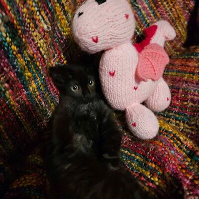 Edward Smell Stinky Face Poster - Etsy