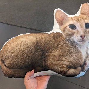 Personalized Human Pillow Custom Human Pillow Fathers Day - Etsy