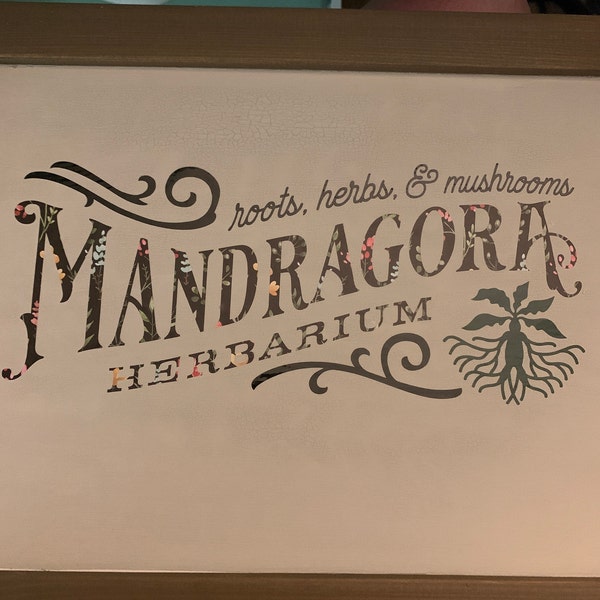 Halloween SVG. Mandragora Herbarium Shop Sign SVG Cut File. Great for ...