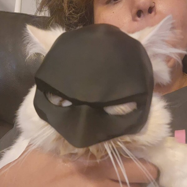 Batcat Mask! Super Cute Mask for Cats! - Etsy