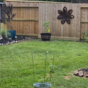 Wrought Iron 25 Cone Topiary Flower Trellis, Metal Plant Climber ...