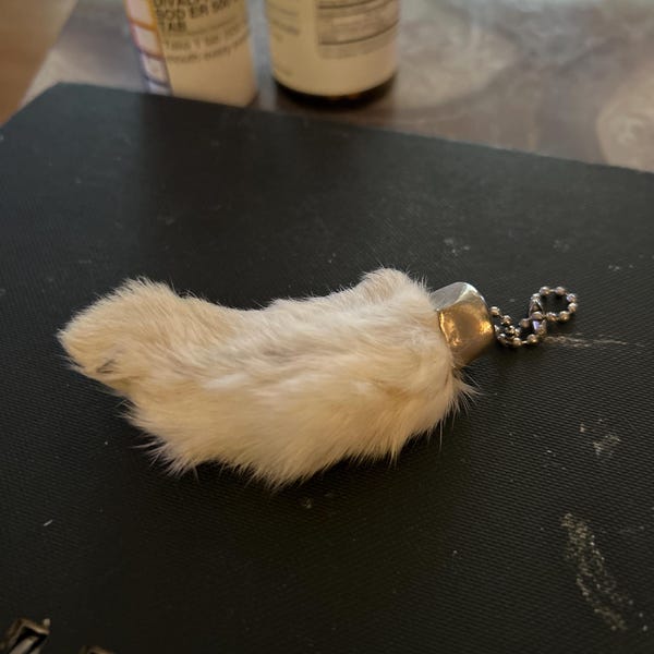 Rabbits Foot Keychain / Real Rabbits Foot / Lucky Rabbits Foot ...