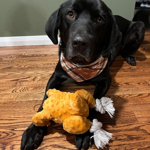 Dog Bandana With Snap Reversible Dog Bandana Embroidered Dog Bandana ...