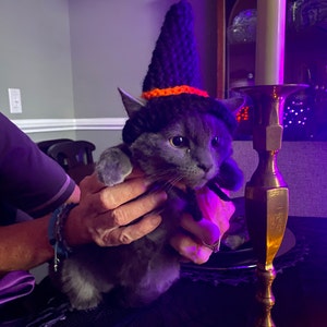 Witch Cat Hat, Witch Hat for Cats, Halloween Cat Costume, Halloween Hat ...