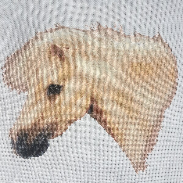 Cavapoo Dog 2 Cross Stitch Chart Instant Download PDF Pattern Keeper ...