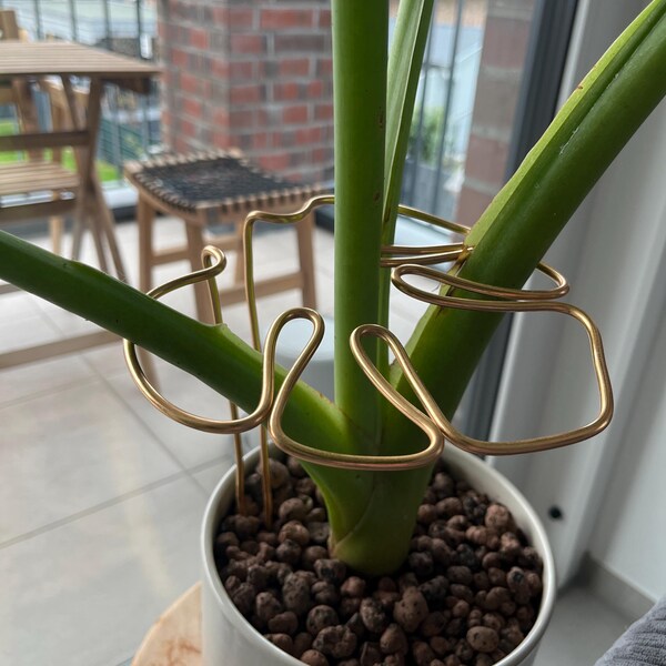 Monstera Shaped Plant Support - Gold Coloured - Etsy