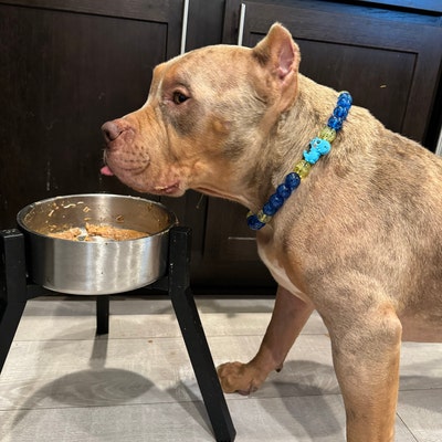 Bubblegum, Breakaway Collar, Breakaway Cat Collar, Breakaway Dog Collar ...