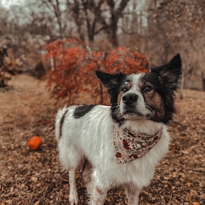 Tree Hugger desktop and Mobile Lightroom Single Preset for - Etsy