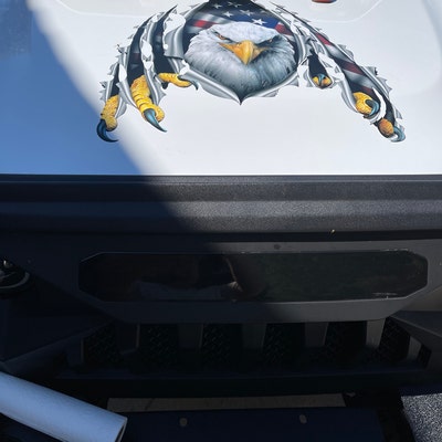 American Flag Eagle Rip Decal Camper RV Motor Home Mural Graphic - Etsy