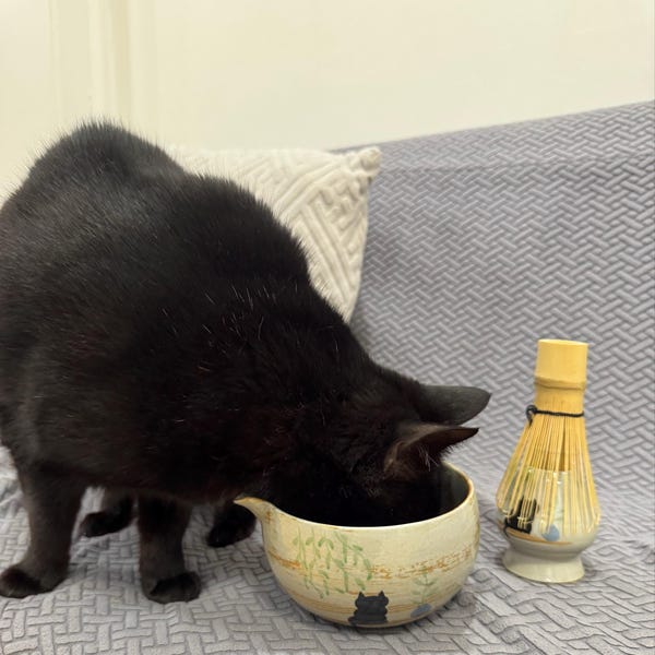 Hand Painted Cute Capybara Matcha Gift Set Matcha Bowl With Bamboo ...