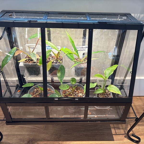 AKERBAR Desktop Greenhouse (17in) Acrylic Pegboard and Shelf Kit for ...