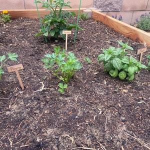 Set of Plant Markers Potted Plant Sign Herb Marker Plant Stake Wood ...