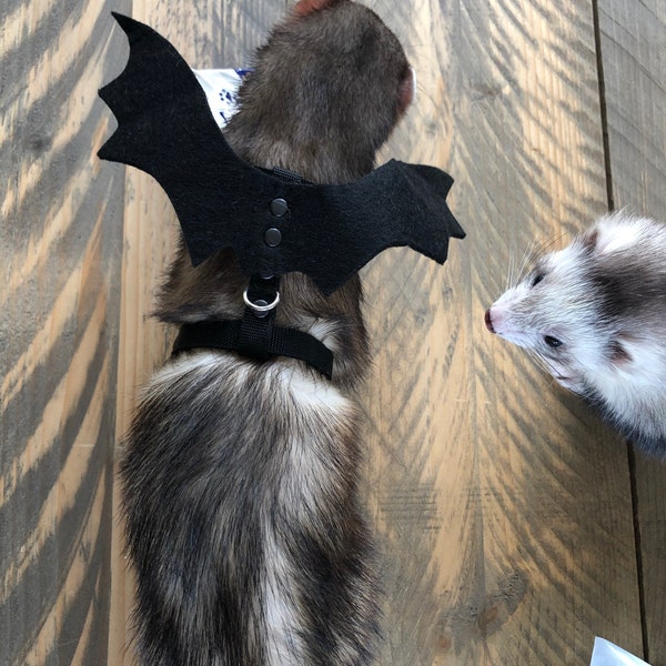 Ferret Costume Halloween Pet Clothes for Ferrets. Bat Wings. Harness ...