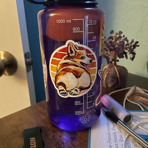 Psychedelic Sunset ALLIGATOR ART PRINT by Robert Phelps Surf Home Decor ...