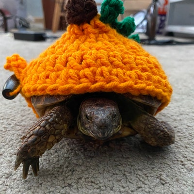 Pumpkin Halloween Tortoise Sweater Turtle Costume Pet - Etsy