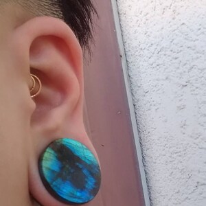 AAA Rated Organic Howlite Stone Pinchers Septum Tusk | Etsy