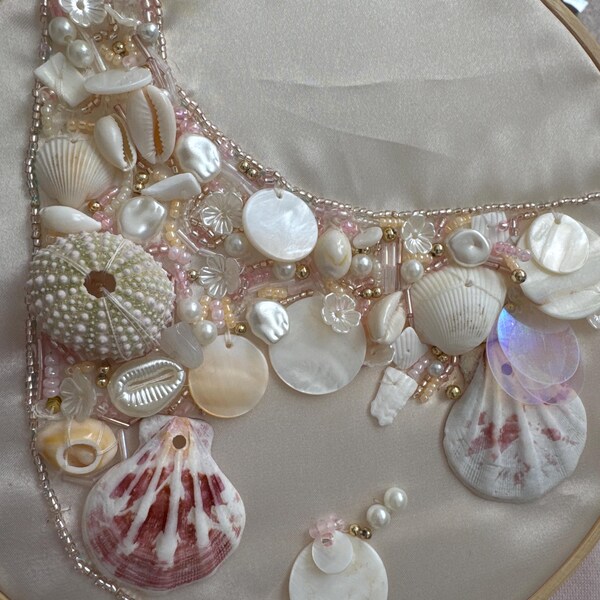 Tibia Spindle Sea Shells White Tibia Shell Long Pointy Shells Shabby ...