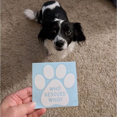 Who Rescued Who Decal,rescue Dog Car Decal Cat Decal Paw Print Animal ...