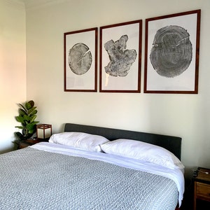 Alaskan Spruce Tree Ring Print Tree Stump Print Stump Art | Etsy